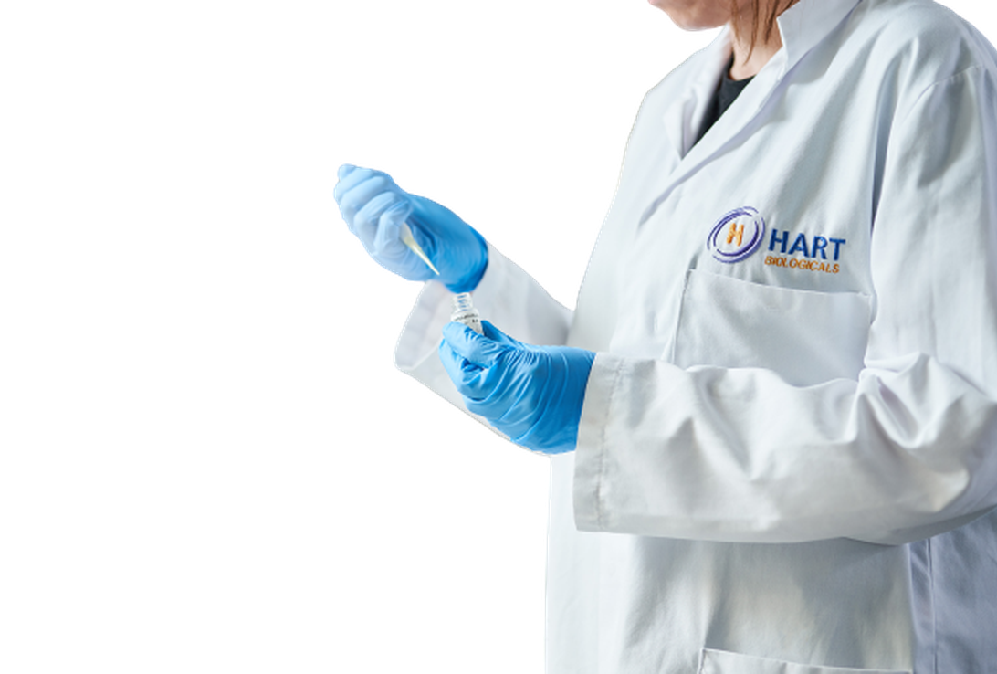 Innovations in anticoagulation